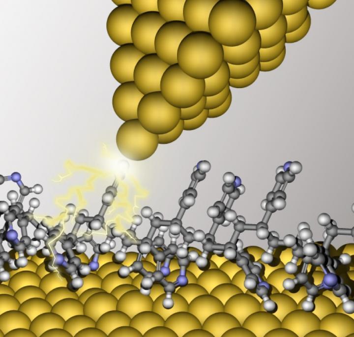 Polymers may be the key to single-molecule electronic devices - PlasticStar