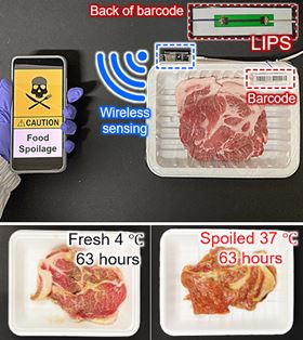Biodegradable Paper Sensor Detects Spoiled Food